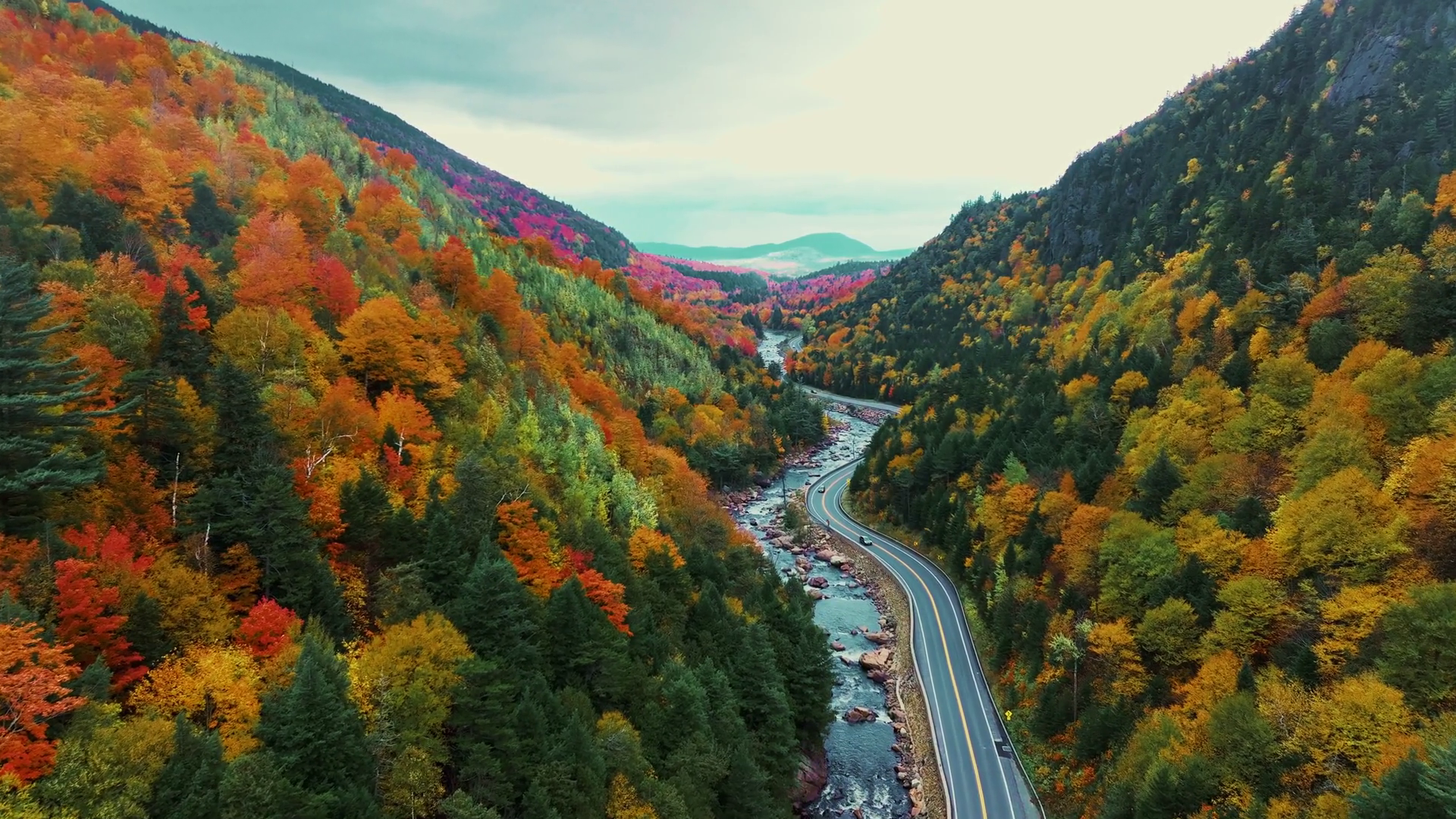 Aerial View Of Beautiful Autumn Foliage With Stock Footage SBV ...