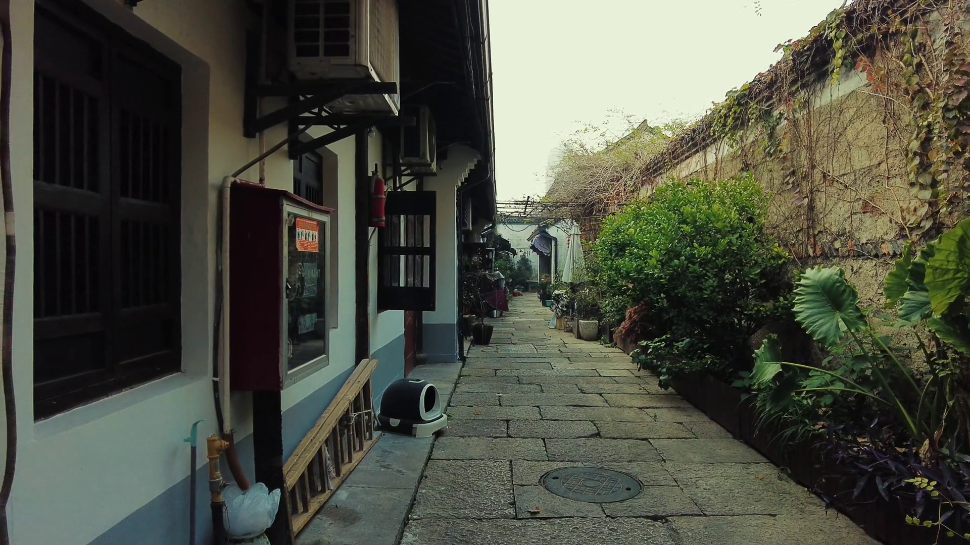 Street View With Traditional Chinese Stock Footage SBV-352508026 ...