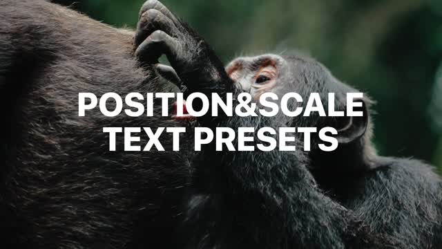 Text Presets Templates Royalty-Free - Storyblocks