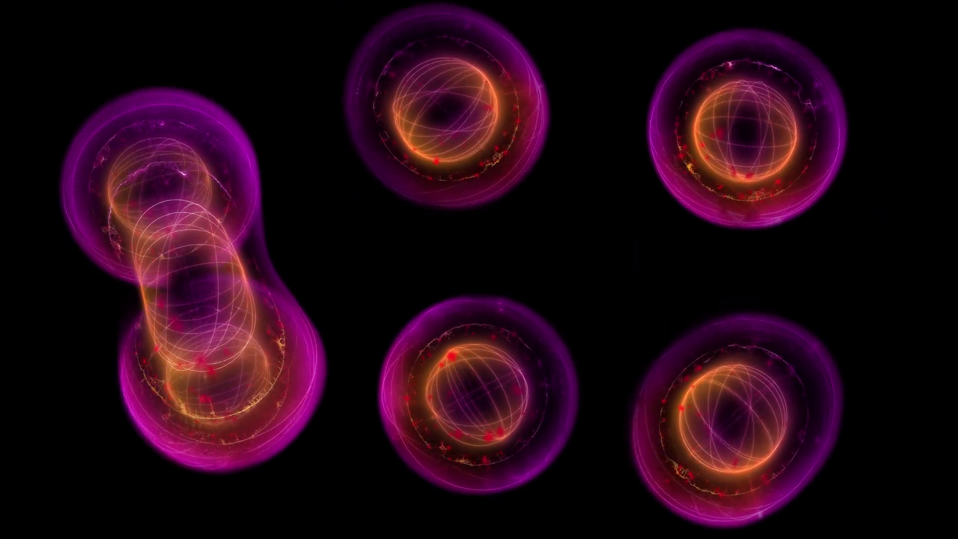 Energy Spheres Divide Like Cells In Living Stock Motion Graphics SBV ...
