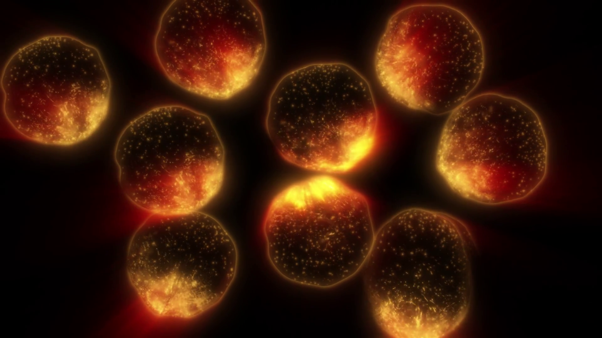 Cells Of Living Organism Divide Virtual Stock Motion Graphics SBV ...