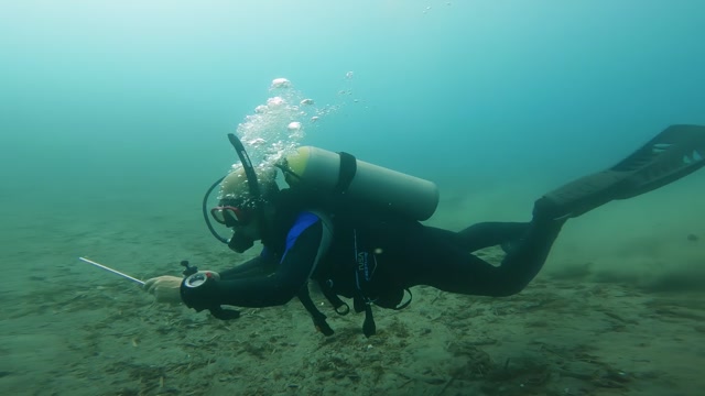 Diving In Egypt | Nature stock footage - Storyblocks