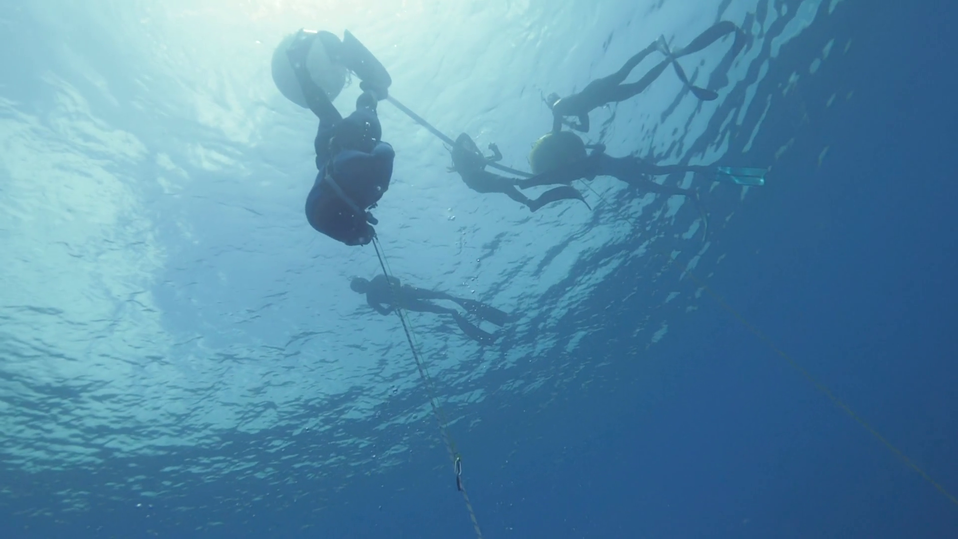 Diver Descends To Depths Of Ocean Adhering Stock Footage SBV-348411900 - Storyblocks