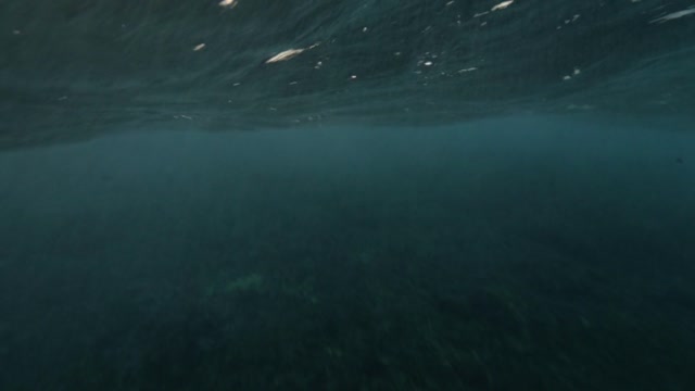 Bottom Of Sea Stock Footage: Royalty-Free Video Clips - Storyblocks