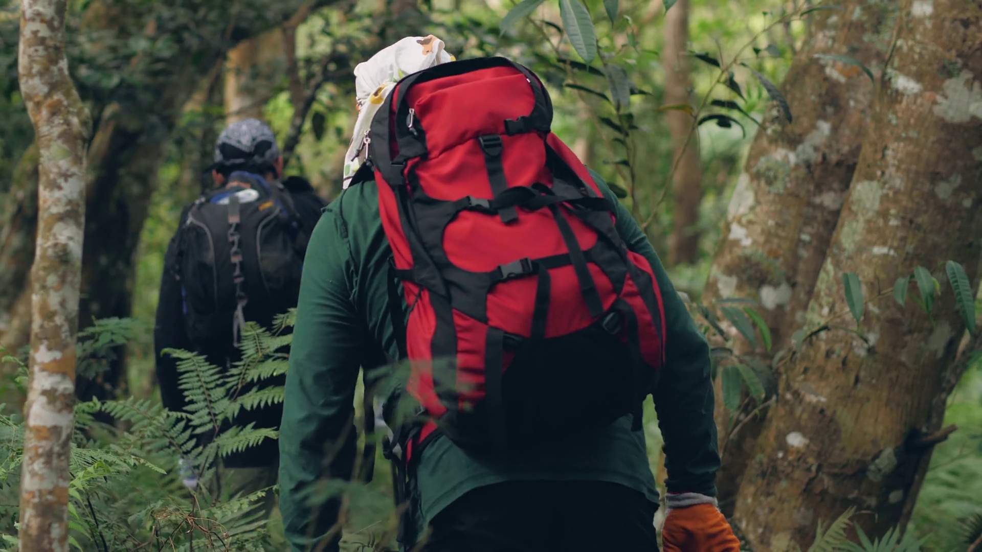 Group Of Men Hikers Backpackers Hiking Stock Footage SBV-337755200 ...