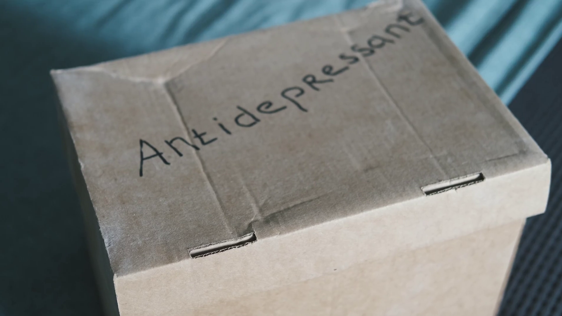 Kittens Crawl Out Of Box Of Antidepressant Stock Footage SBV-347574684 ...
