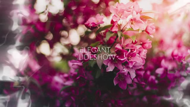 Elegant Slideshow Templates Royalty-Free - Storyblocks