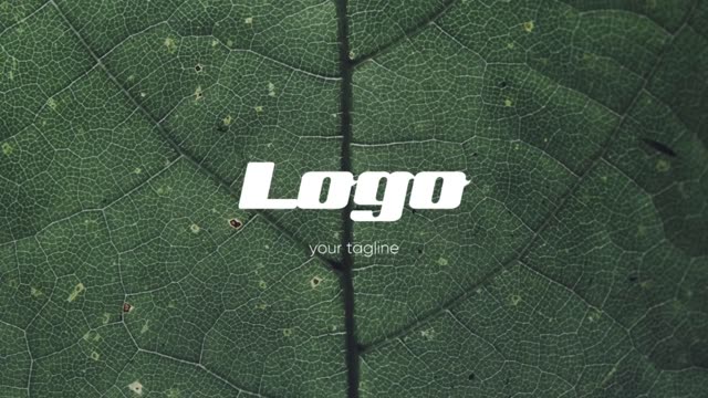 Photo Intro Templates Royalty-Free - Storyblocks