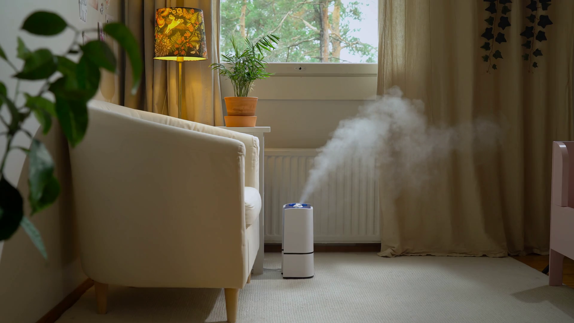 Modern Air Humidifier In Action In Living Stock Footage SBV-348515978 ...