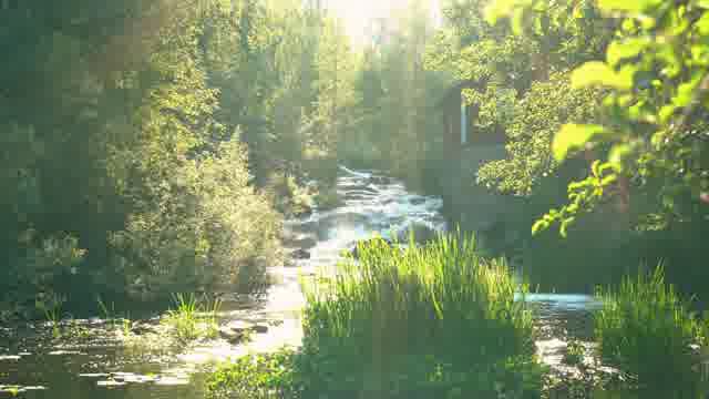 Search Royalty Free Footage and Video Clips - Storyblocks