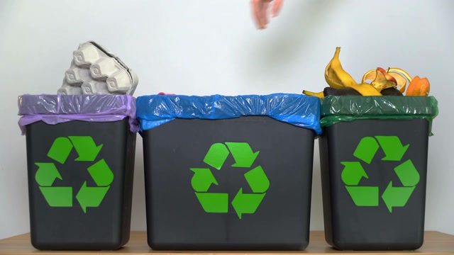 Recycling Education Stock Footage: Royalty-Free Video Clips - Storyblocks