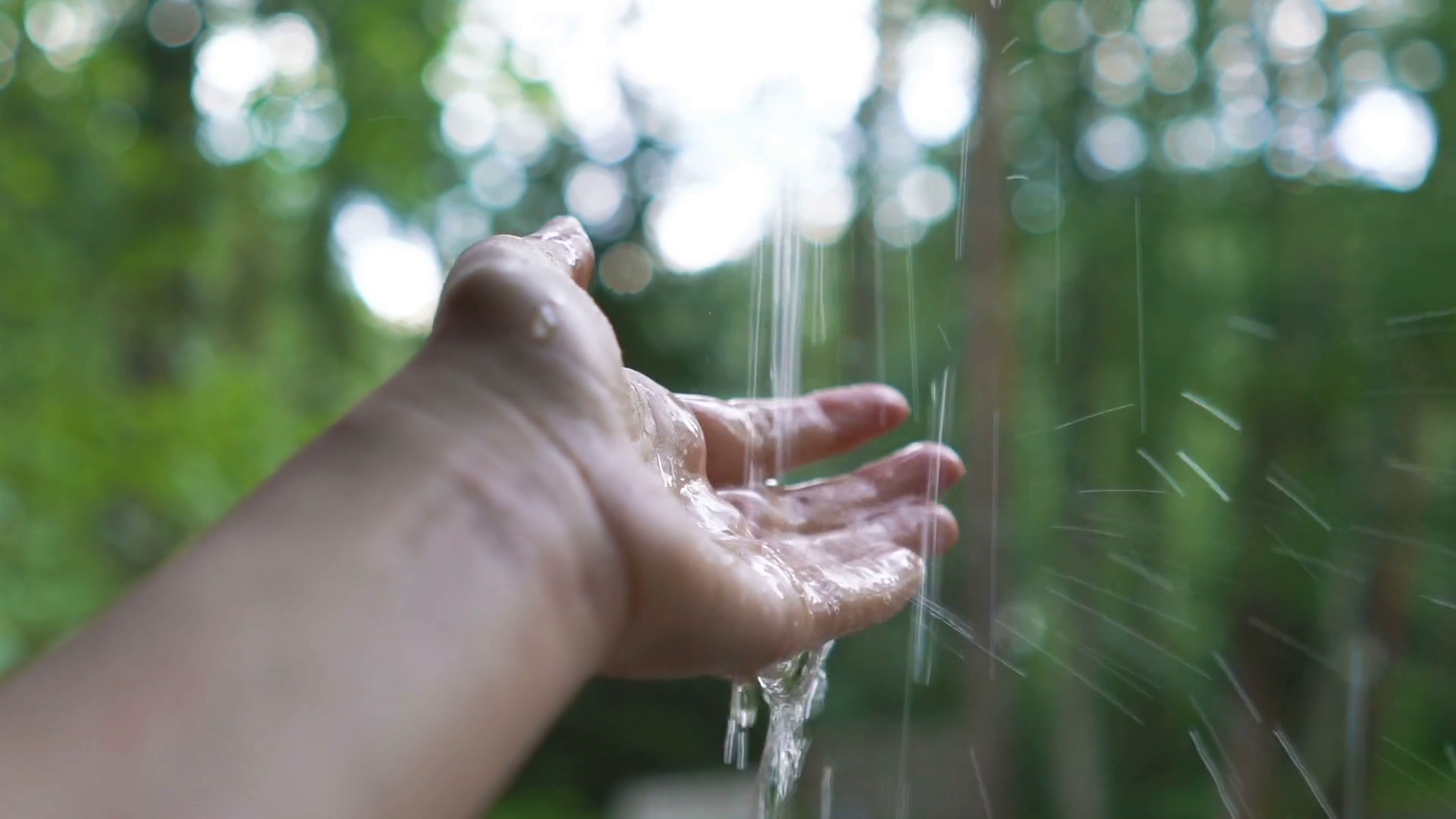 Female Hand In Rain With Forest Background Stock Footage SBV-338063806 ...