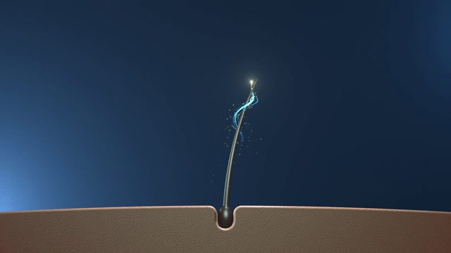 Hair Follicle Animation Stock Footage: Royalty-Free Video Clips ...