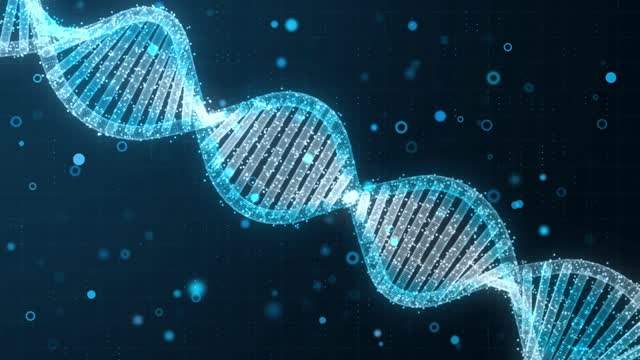 Evolution Stock Footage: Royalty-Free Video Clips - Storyblocks