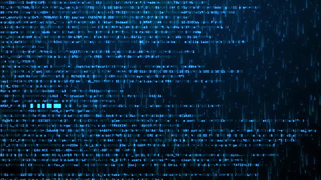 Developer Data Stock Footage: Royalty-Free Video Clips - Storyblocks