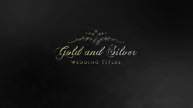 Diamond Glitter Titles After Effects Template Templates Royalty-Free ...