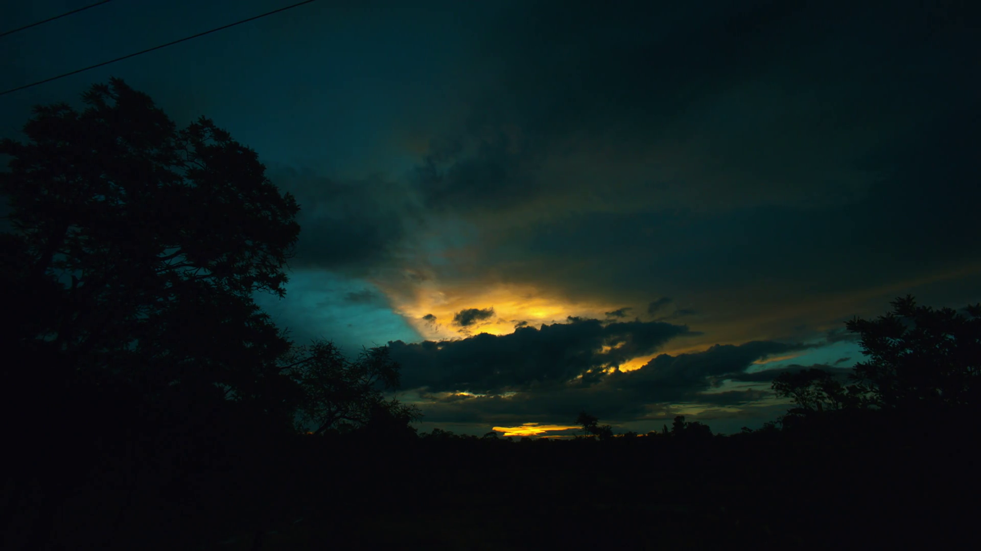 Beautiful Cinematic Forests At Night Stock Footage SBV-337567609 ...
