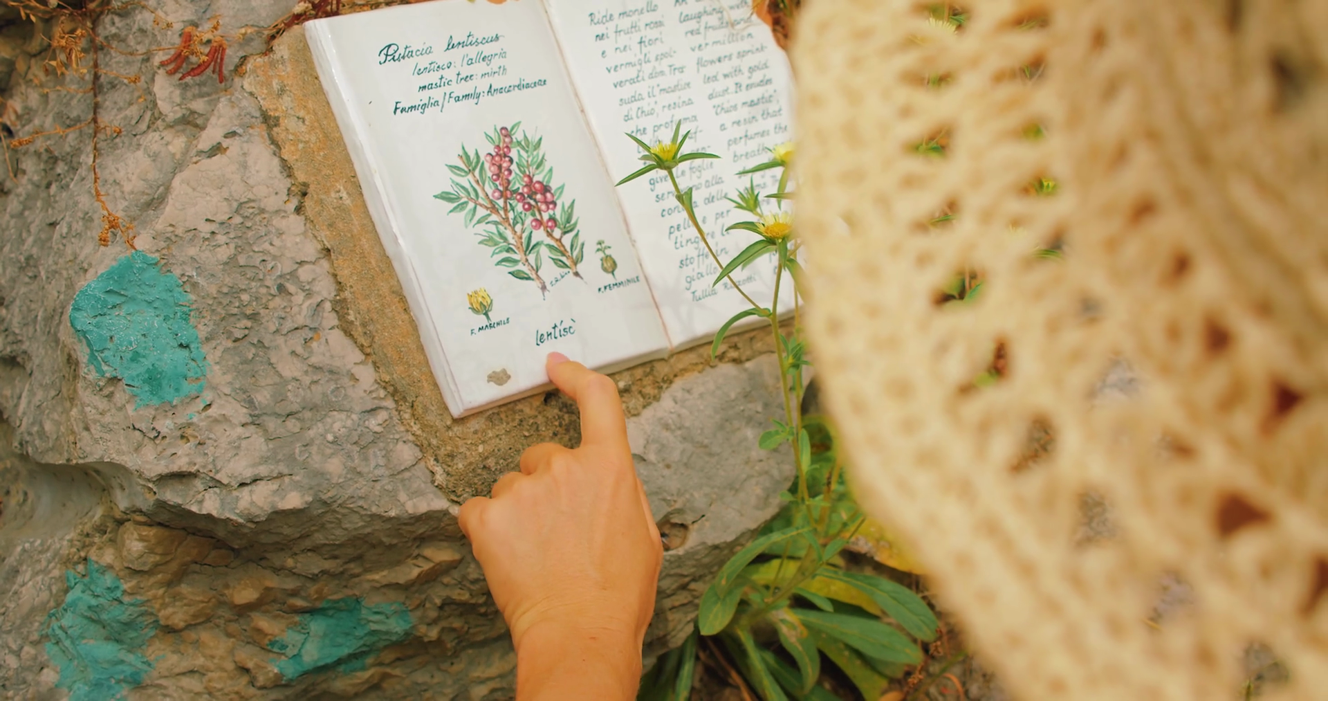 Woman Examining Botanical Ceramic Tile Trail Stock Footage SBV ...