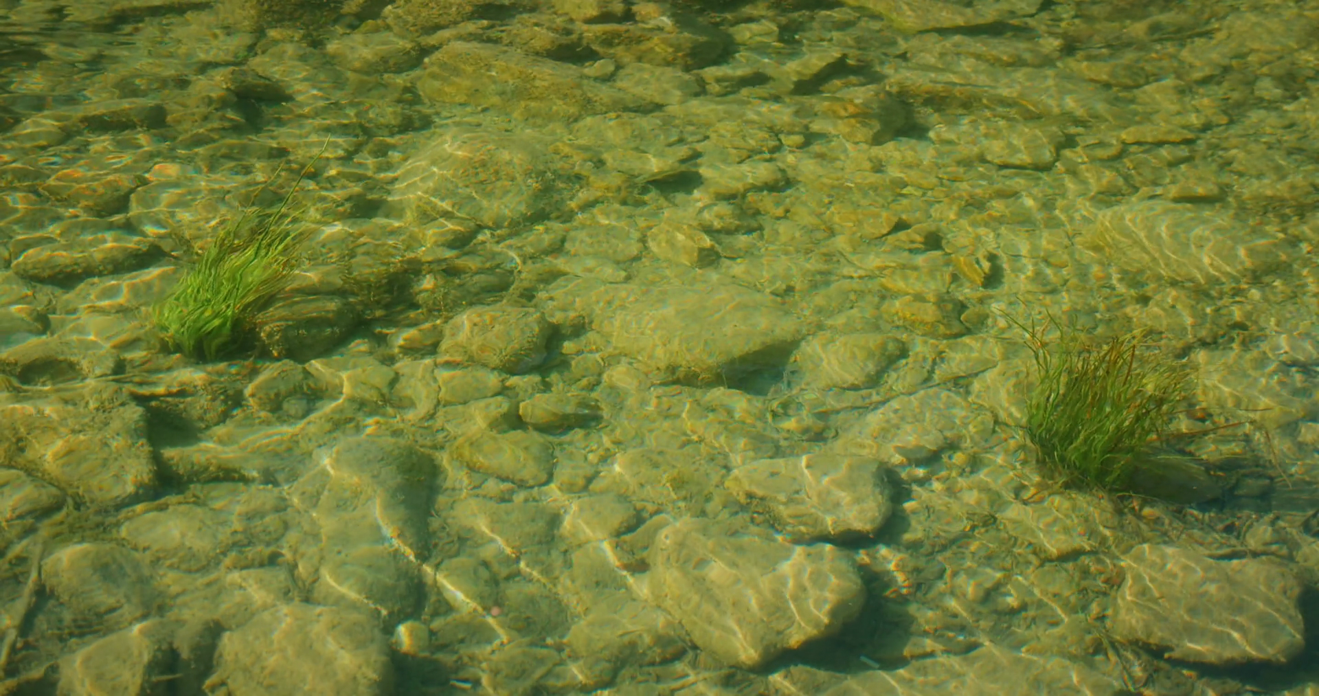Clear Riverbed With Crystal Clear Water Stock Footage SBV-353008678 ...