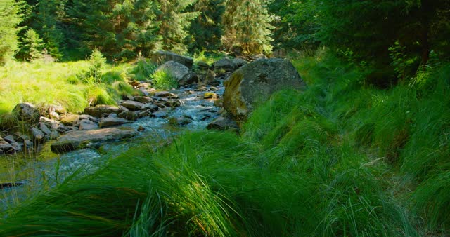 Loop Nature Landscape Stock Footage: Royalty-Free Video Clips - Storyblocks