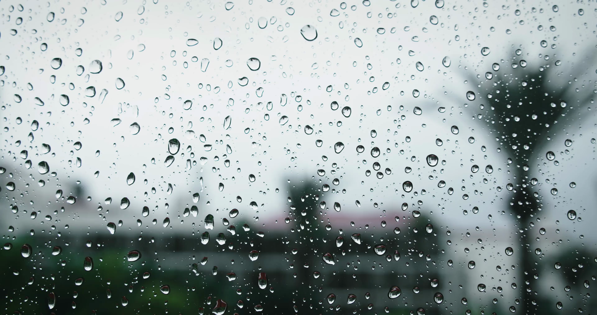 Rain Water Drops On Window Glass Close-up Stock Footage SBV-347559999 ...