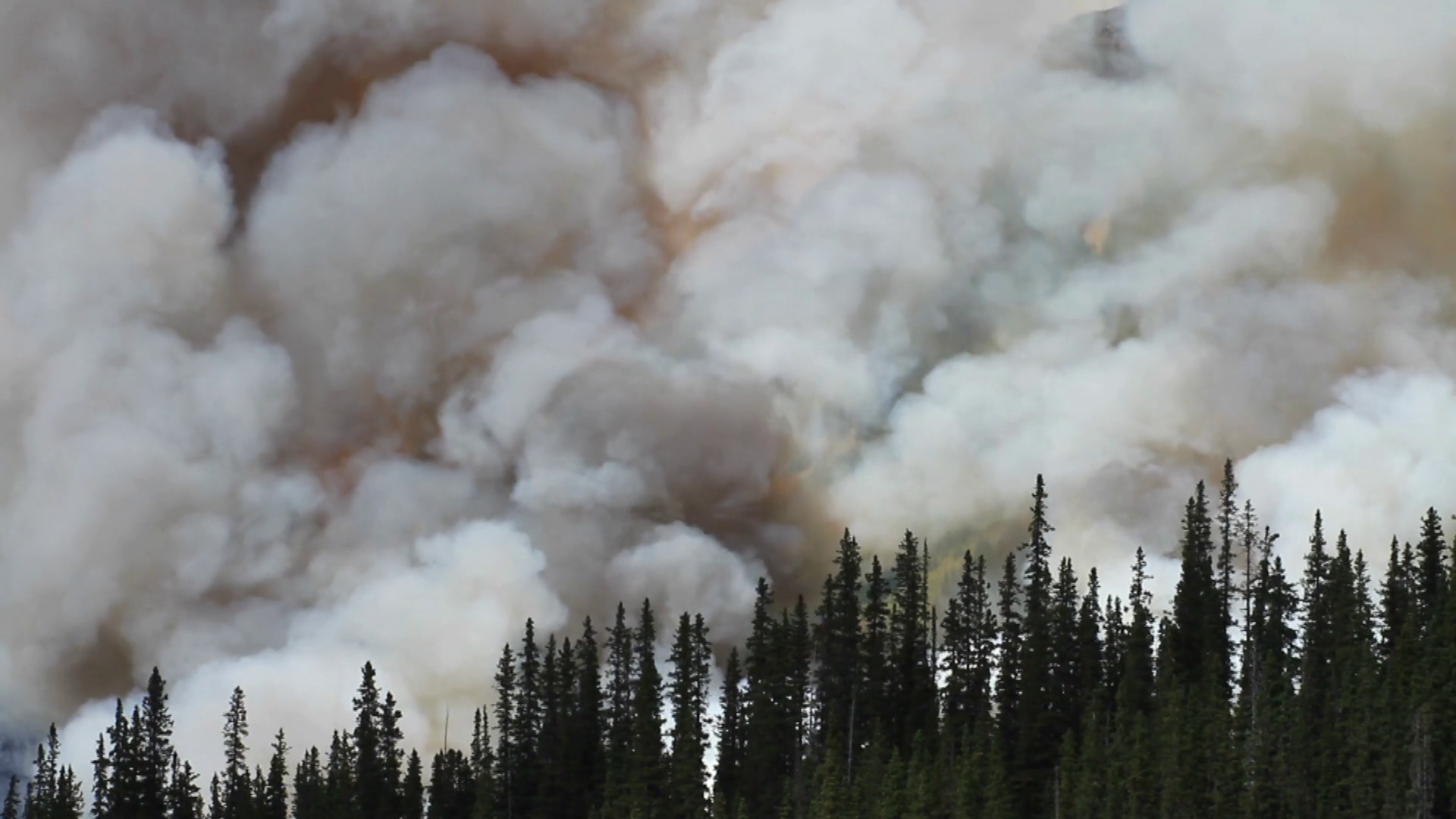 Huge Plumes Of Smoke From Forest Fire With Stock Footage SBV-301110736 - Storyblocks