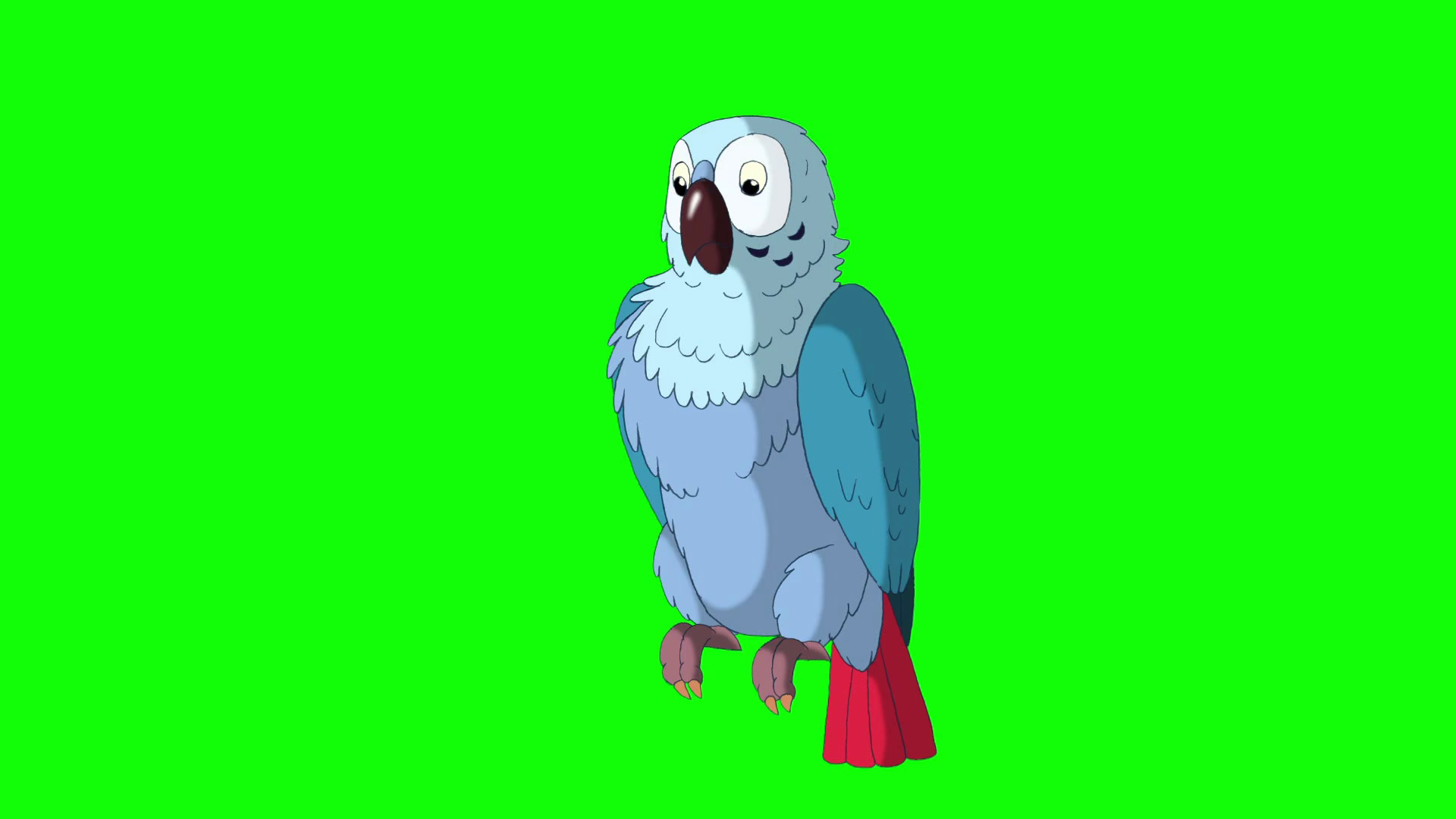 Blue Parrot Greets Classic Disney Style Stock Footage SBV-309087409 ...