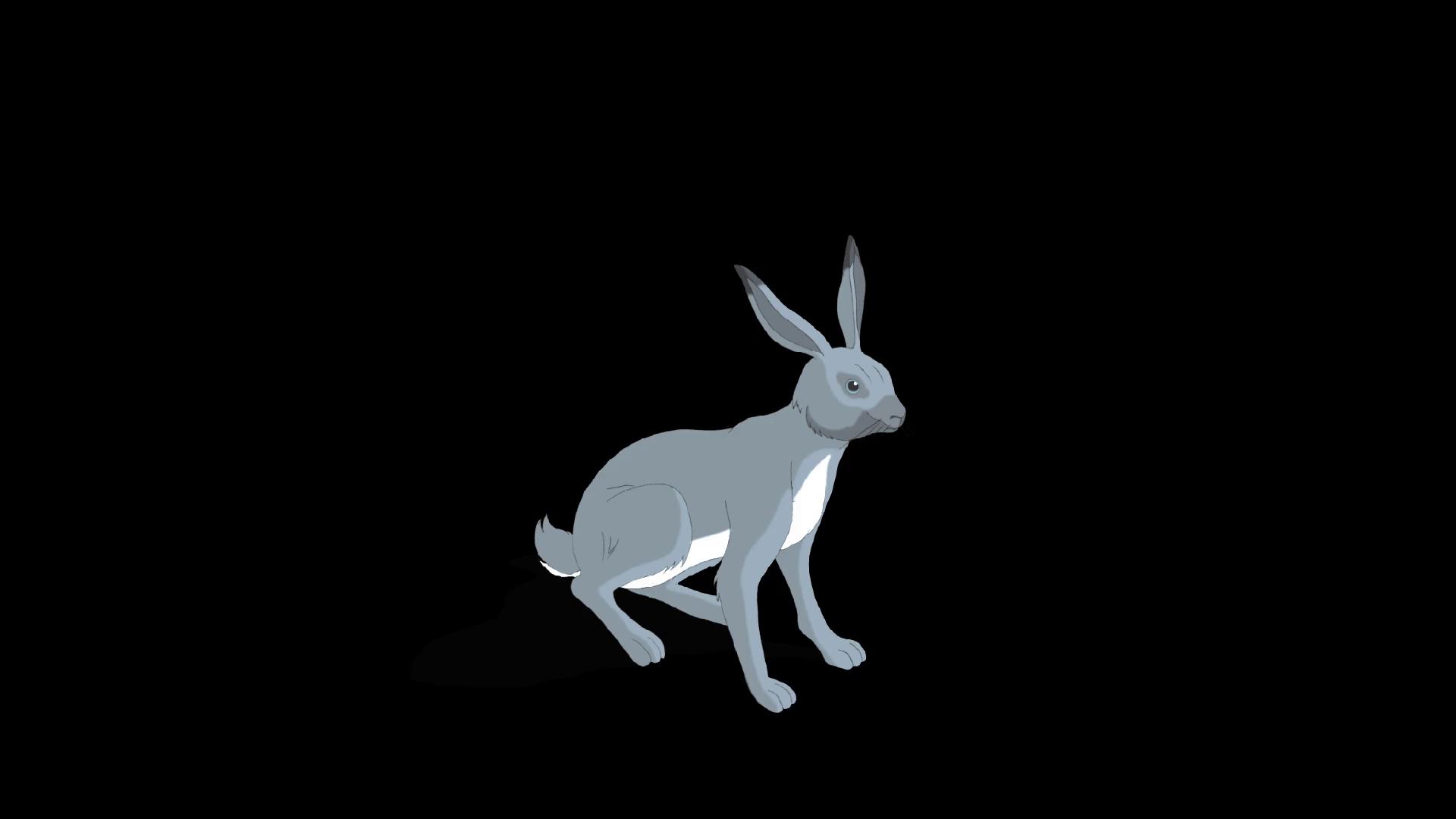 Gray Hare Sitting. Animation with Alpha Channel. Motion Background 00: ...