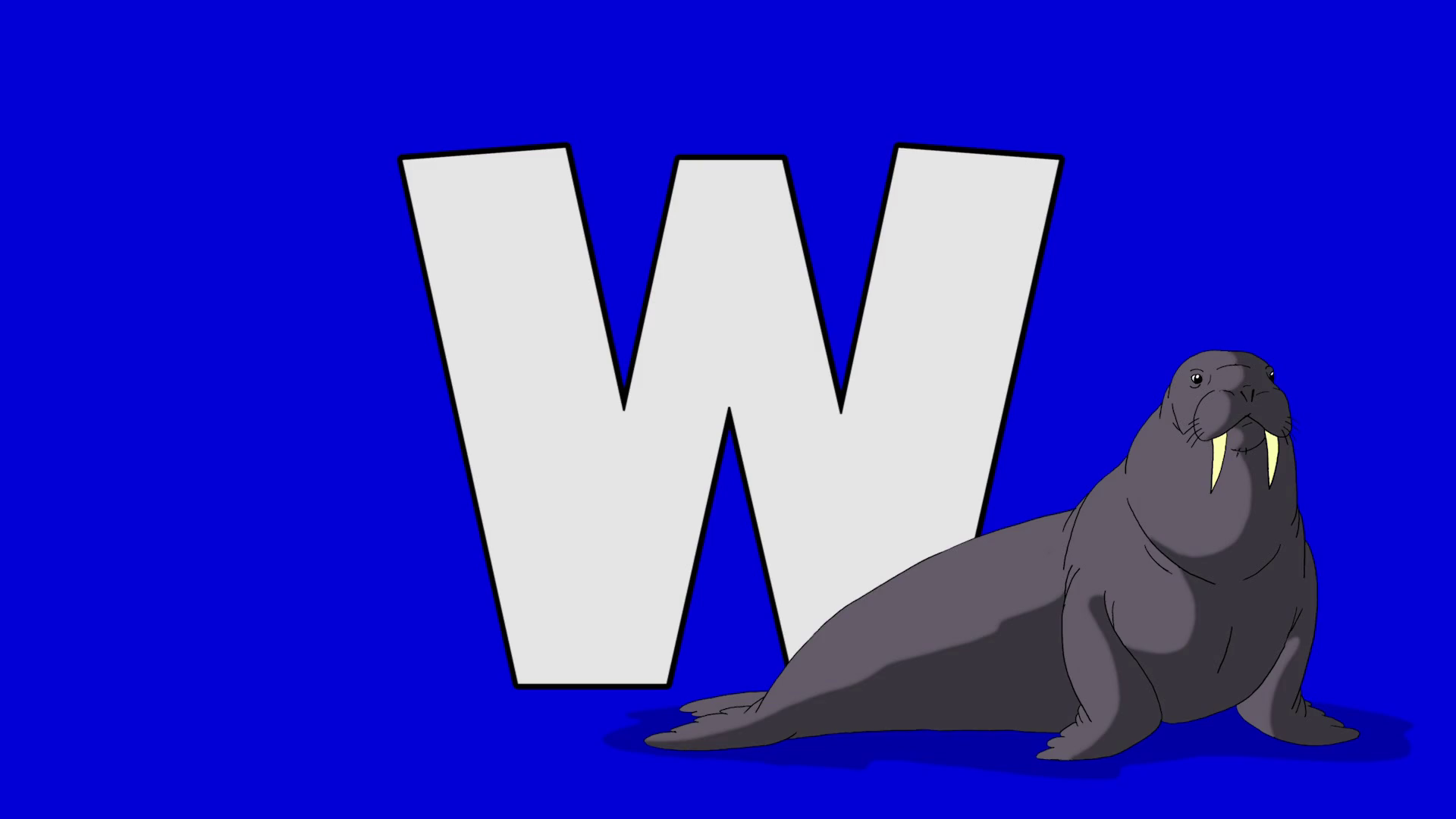 Letter W Walrus (foreground) Animated Stock Footage SBV-307874068 ...