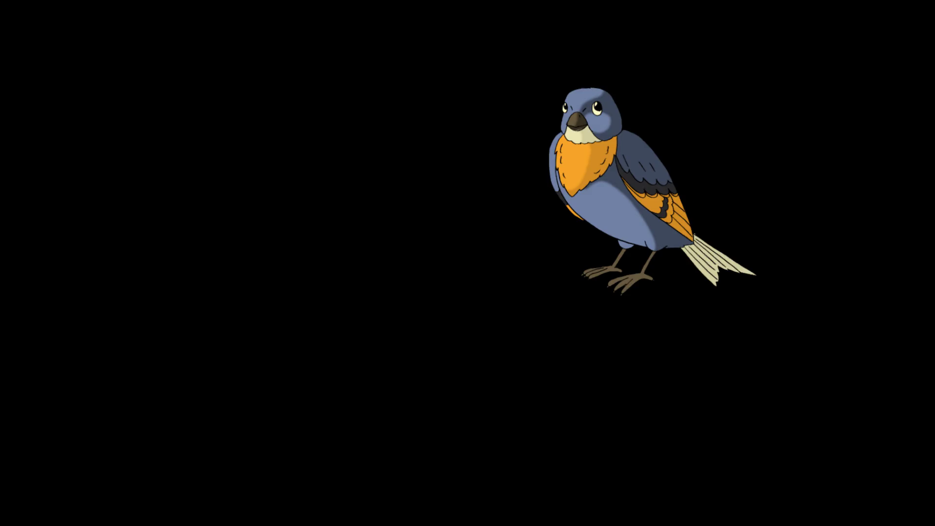 Animated Footage: Little Bluebird Takes Stock Motion Graphics SBV ...