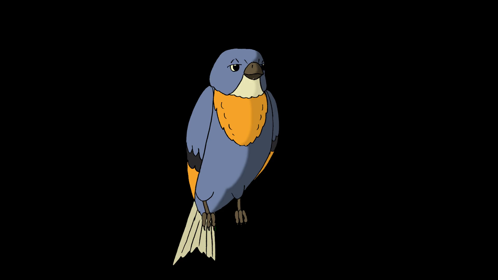 Little Bird (bluebird) Sitting Sings Stock Motion Graphics SBV ...