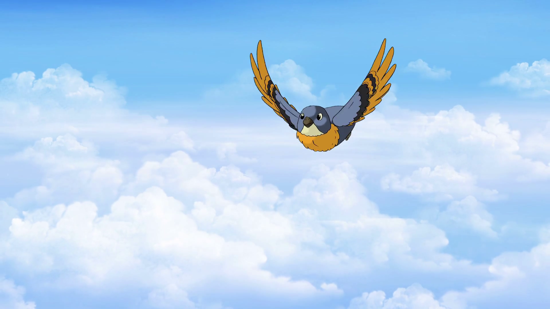 Bird In Flight Front View Stock Motion Graphics SBV-314847511 - Storyblocks