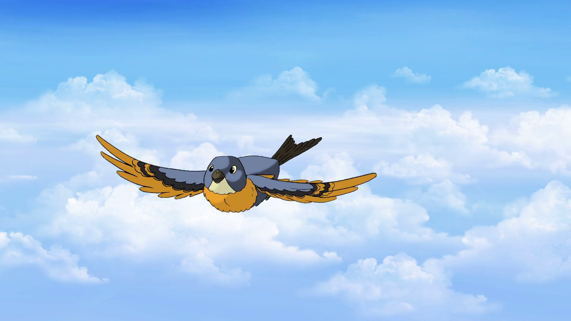 Bird in Flight. Front View Motion Background - Storyblocks