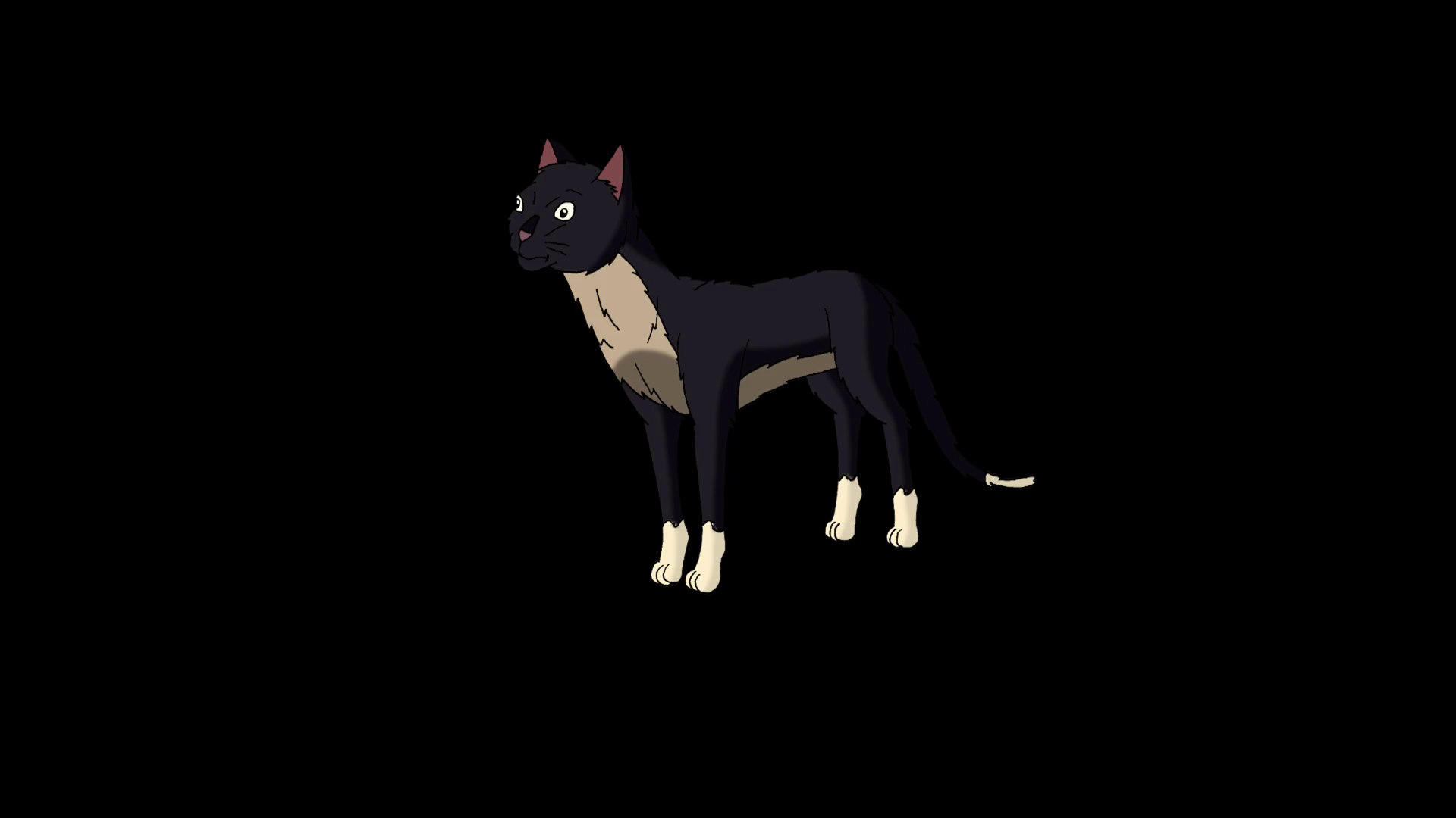 Black Cat Sharpening Claws Alpha Matte 4k Stock Motion Graphics SBV ...