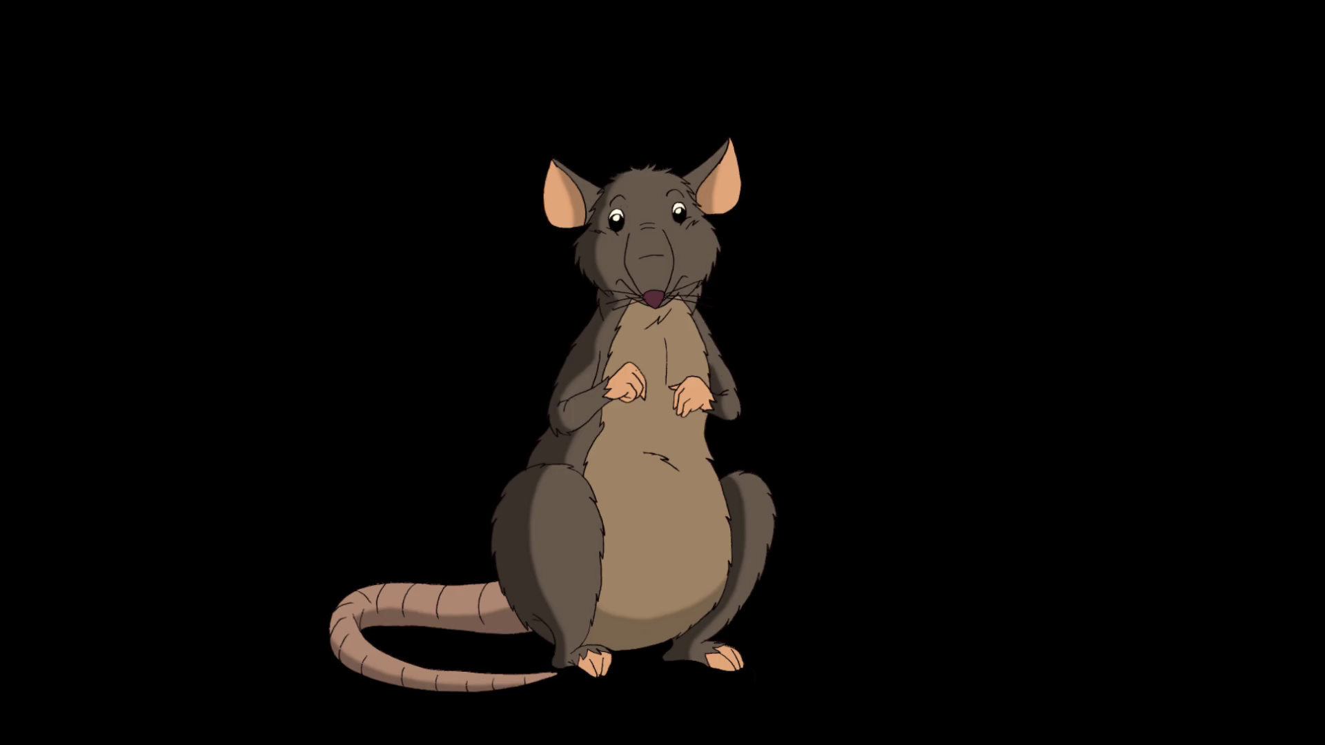 Brown Rat Sits Laughs Animation Alpha Matte Stock Motion Graphics SBV ...