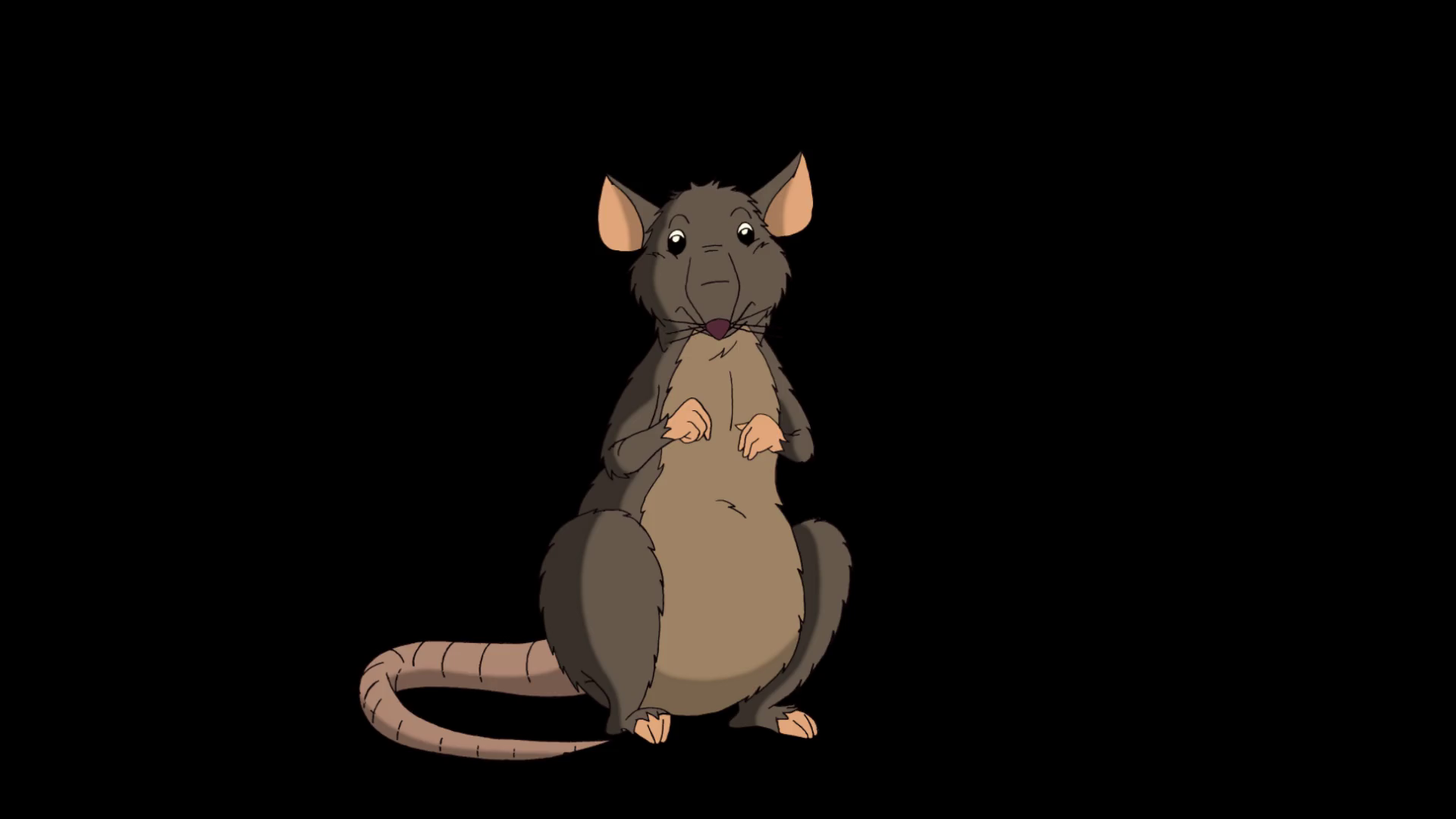 Brown Rat Sitting Talking Animation Alpha Stock Motion Graphics SBV ...