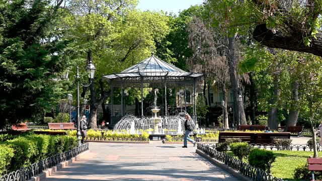 May Square Stock Footage: Royalty-Free Video Clips - Storyblocks