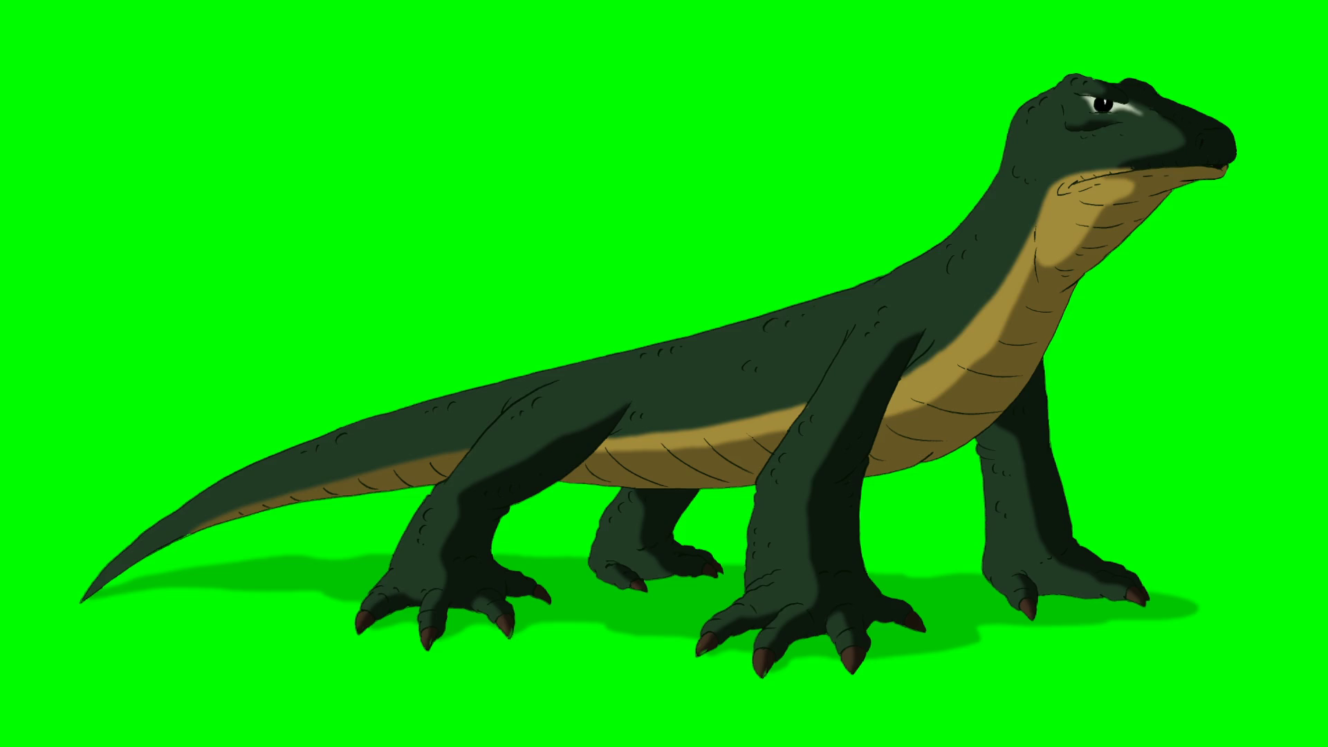 Green Komodo Dragon Lizard Sits Chroma Key Stock Motion Graphics SBV ...
