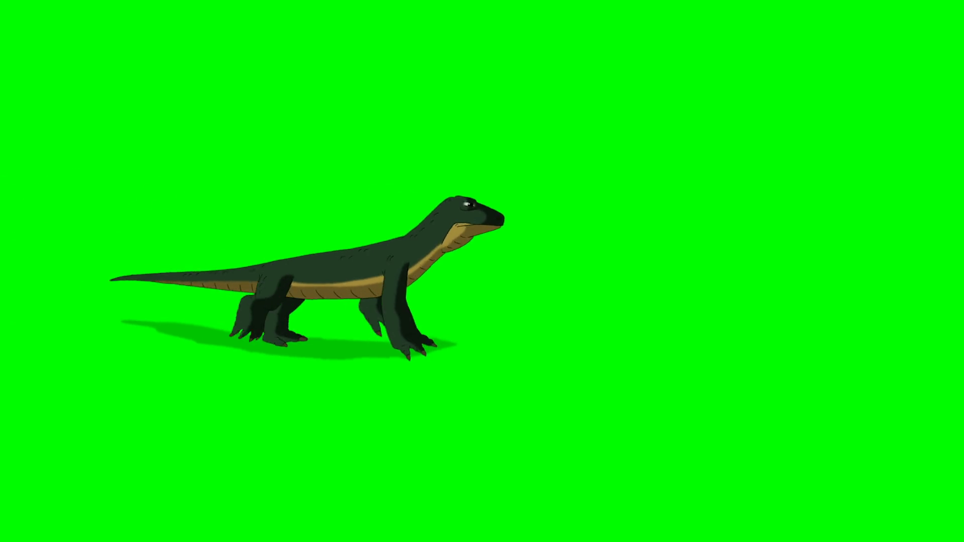 Green Komodo Dragon Lizard Walks Chroma Key Stock Motion Graphics SBV ...