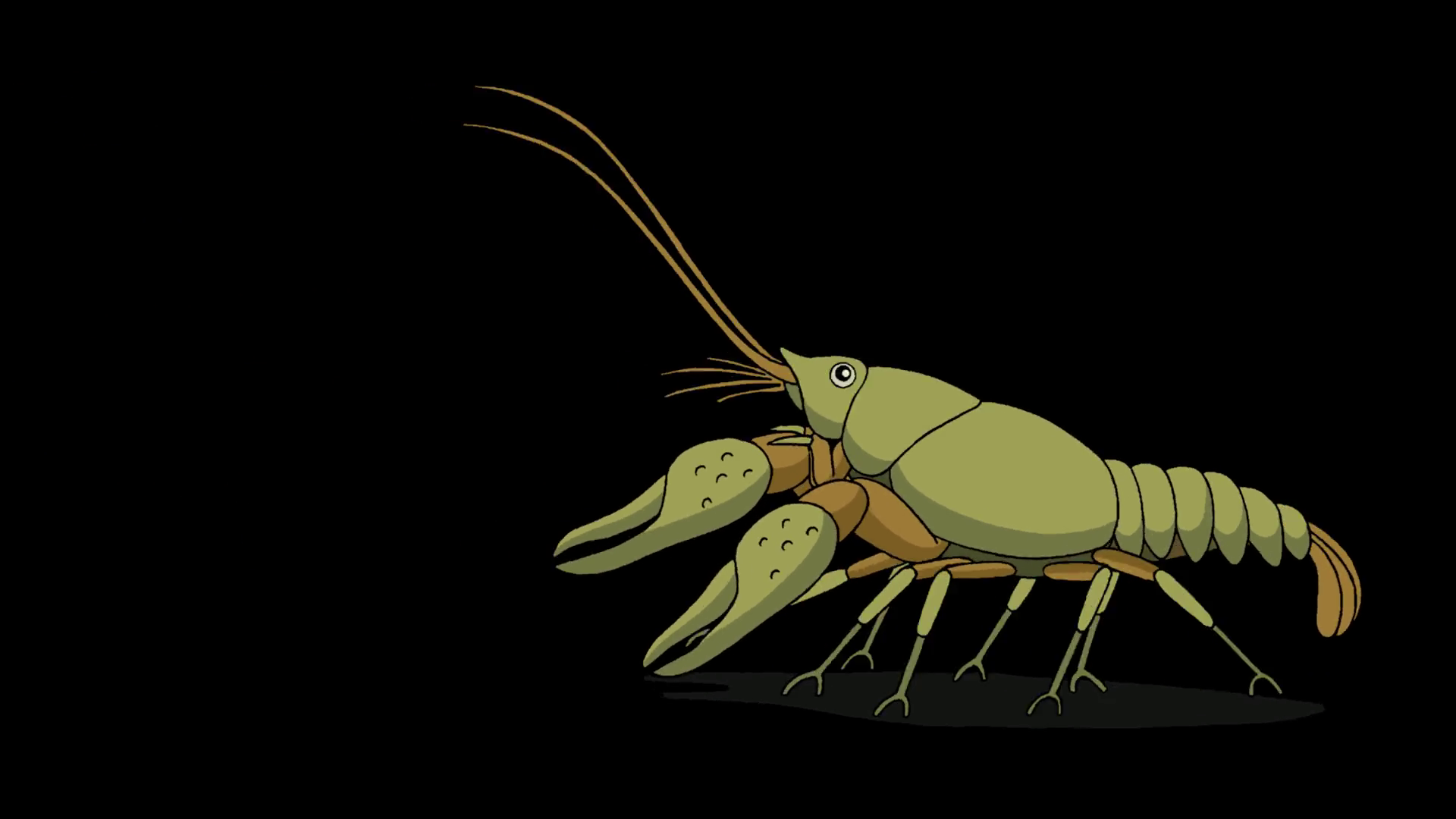 Crayfish 4k Alpha Matte Animation Stock Motion Graphics SBV-348793450 ...