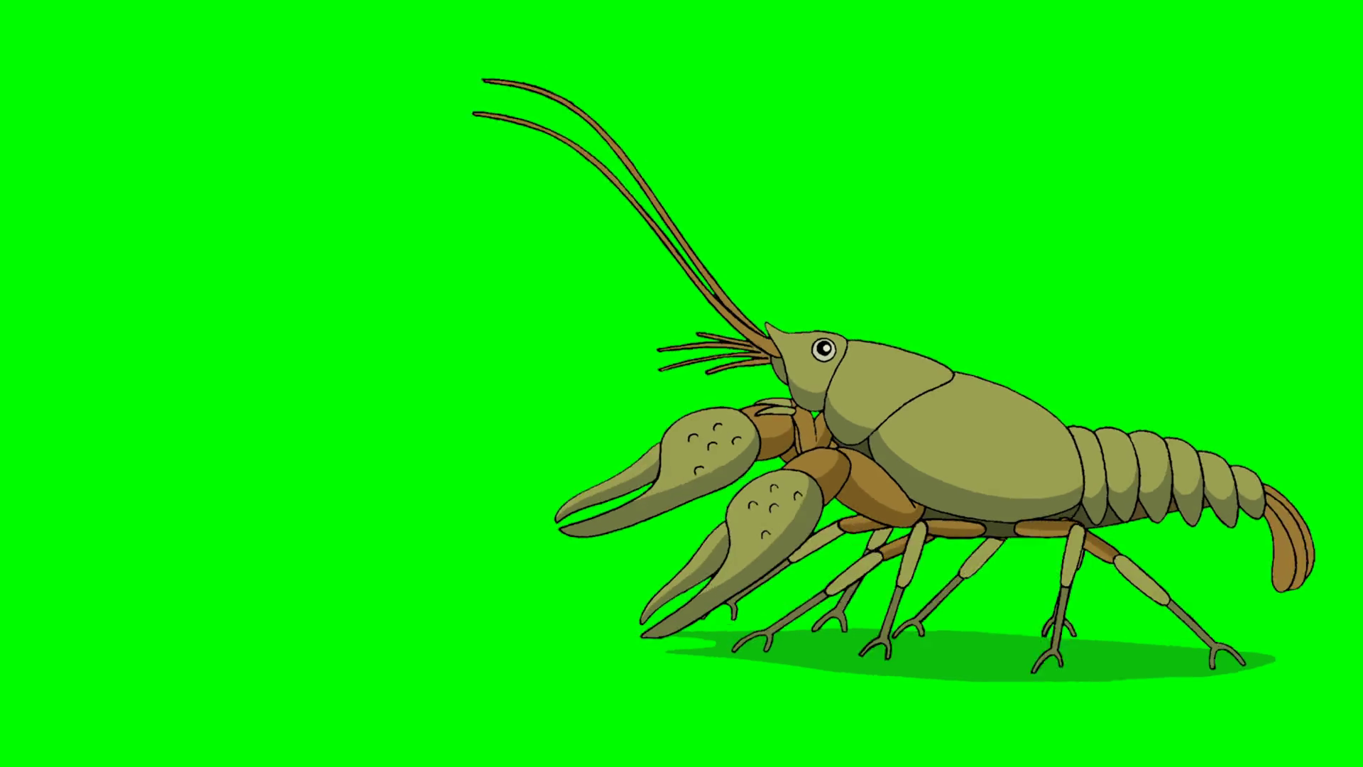 Crayfish 4k Chroma Key Animation Stock Motion Graphics SBV-348793433 ...