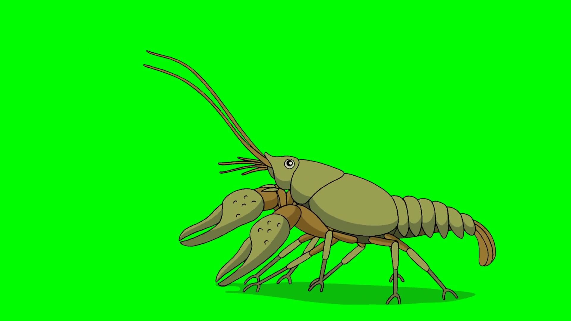 Crayfish 4k Chroma Key Animation Stock Motion Graphics SBV-348793434 ...
