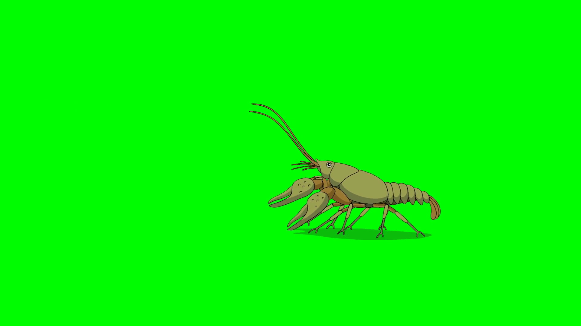 Crayfish 4k Chroma Key Animation Stock Motion Graphics SBV-348793439 ...