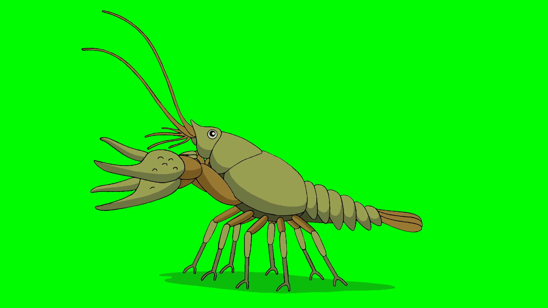 Crayfish 4k Chroma Key Animation Stock Motion Graphics SBV-348793441 ...
