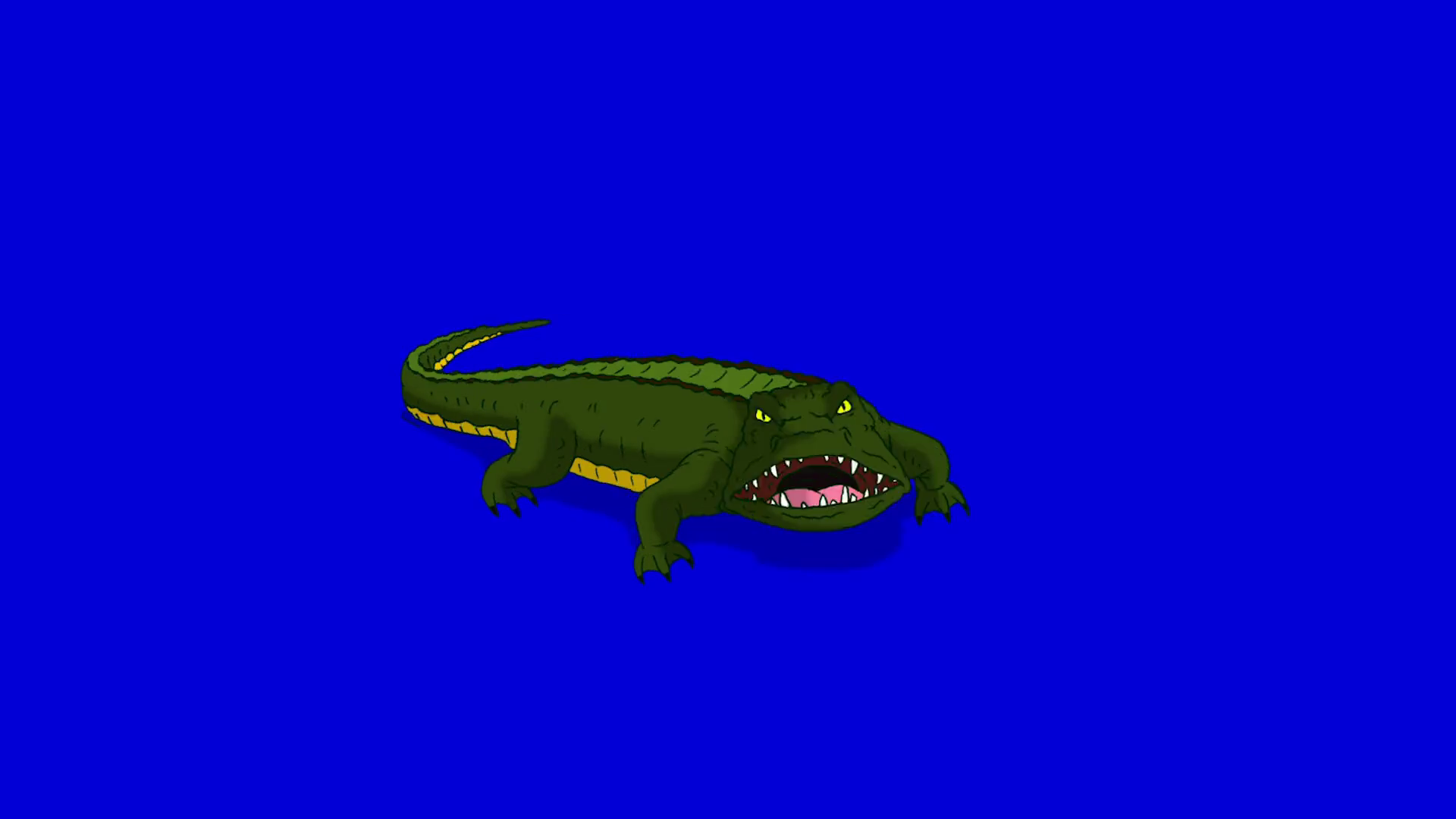 Crocodile Alligator Open his Mouth. Animated Motion Graphic Isolated on ...