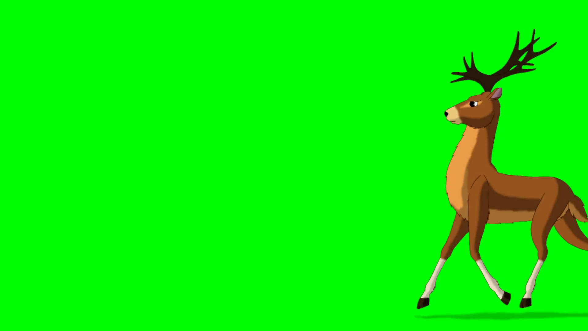 Antlered Deer Chroma Key 2d Animation Stock Motion Graphics SBV ...