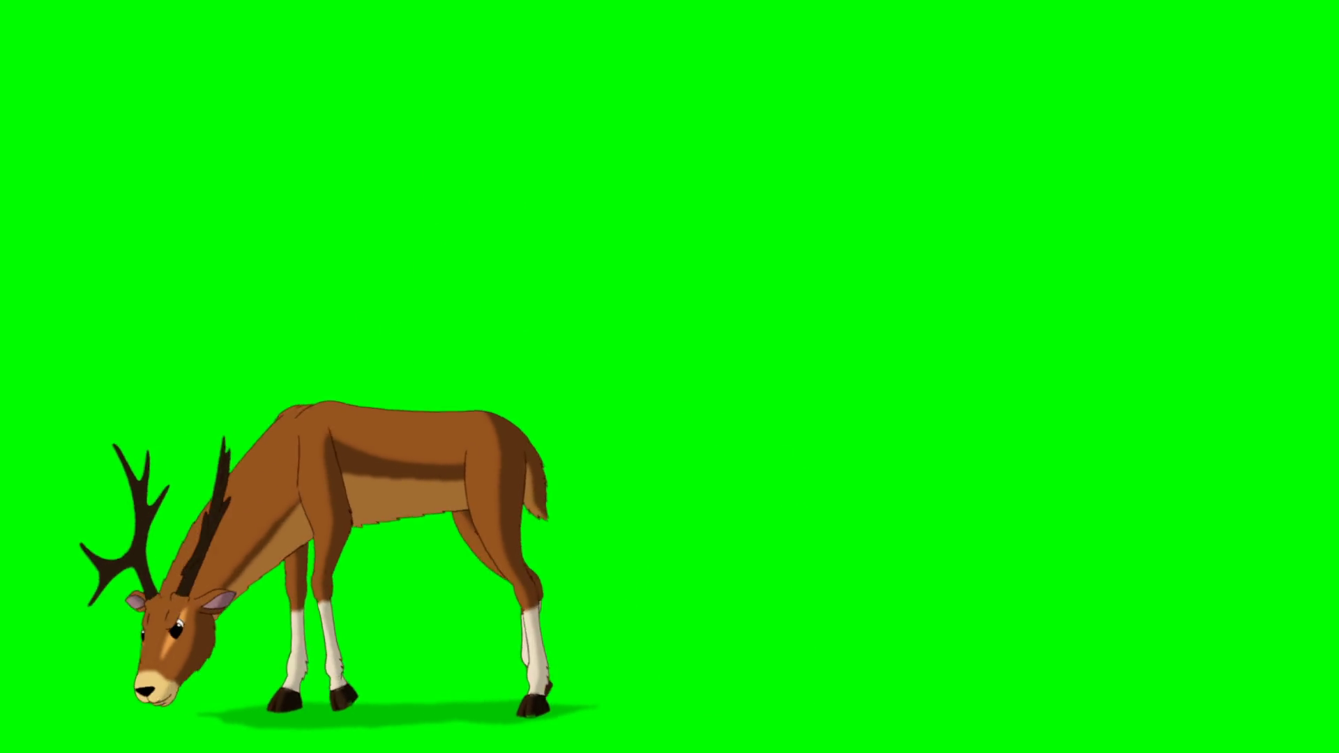Antlered Deer Grazing Chroma Key 2d Animation Stock Motion Graphics SBV ...