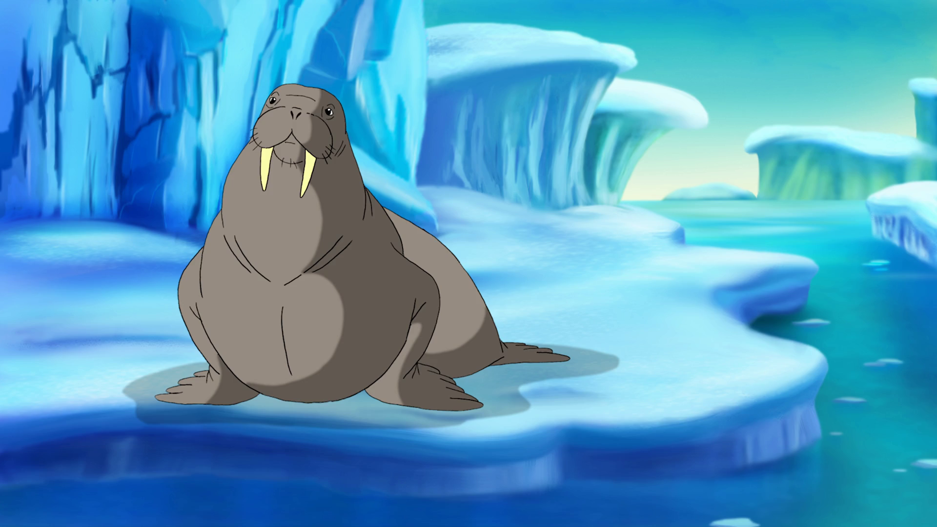 A Large Gray Walrus Sits On Ice Floe 4k Stock Motion Graphics SBV ...