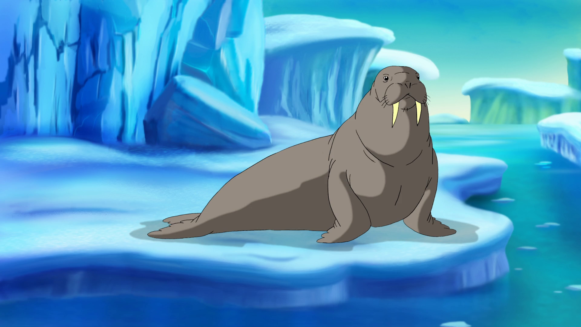 A Large Gray Walrus Sits On Ice Floe Hd Stock Motion Graphics SBV ...