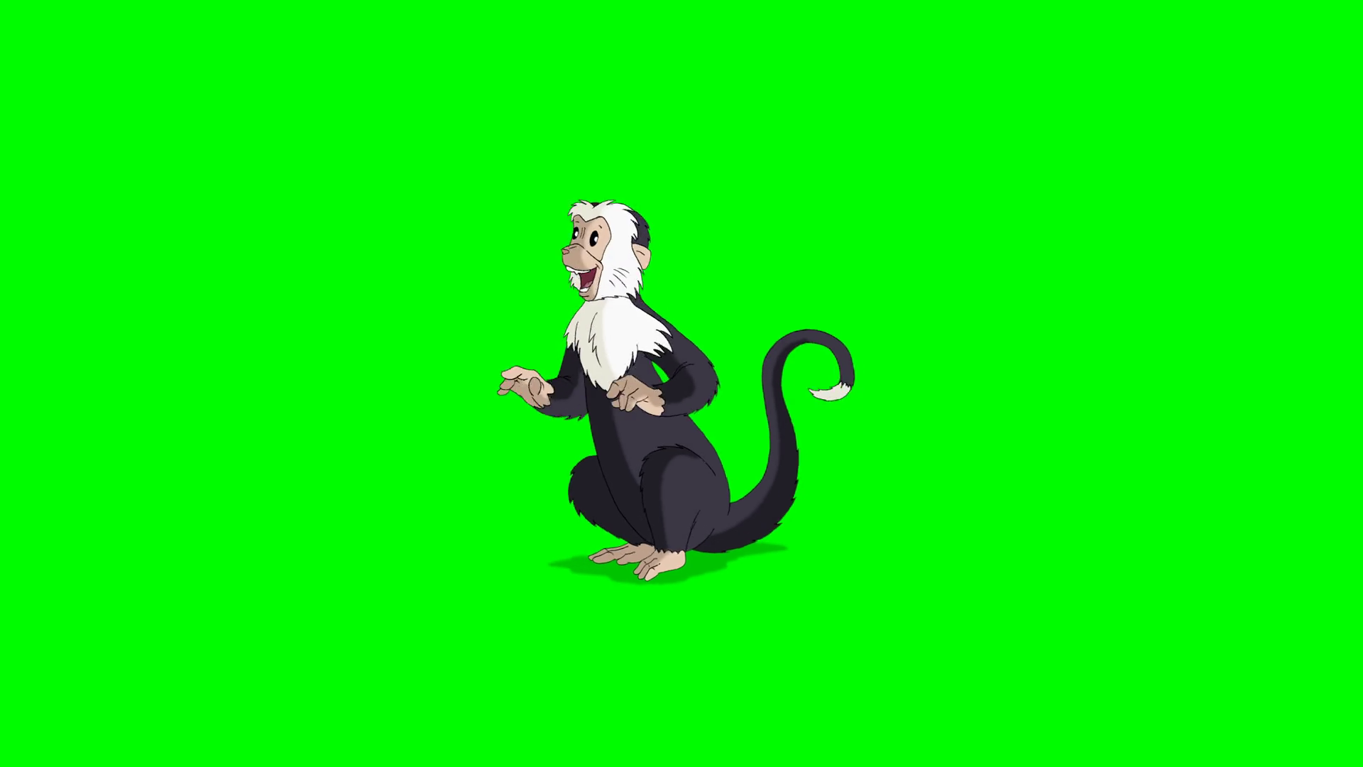 Cartoon Monkey On Green Screen Background 2d Stock Motion Graphics SBV ...